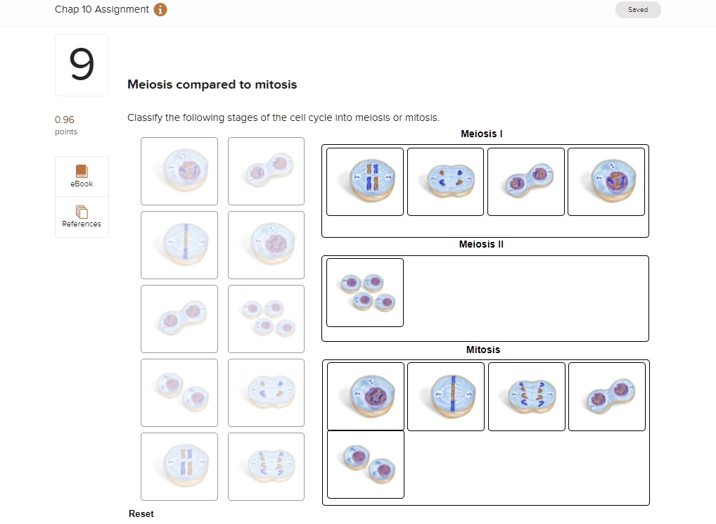 SOLVED: Chap 10 Assignment Saved 9 Meiosis compared to mitosis 0.96 points Classify the ...