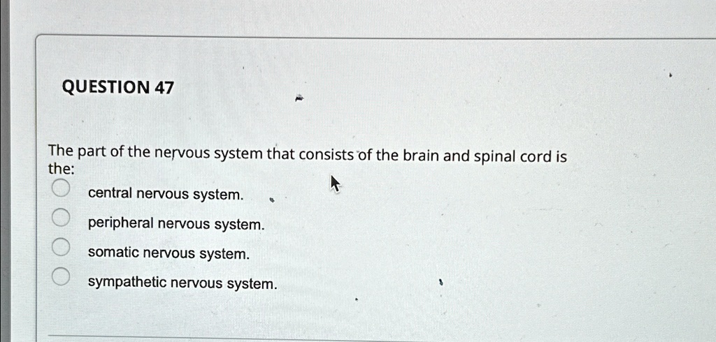 QUESTION 47 The part of the nervous system that consists of the brain ...