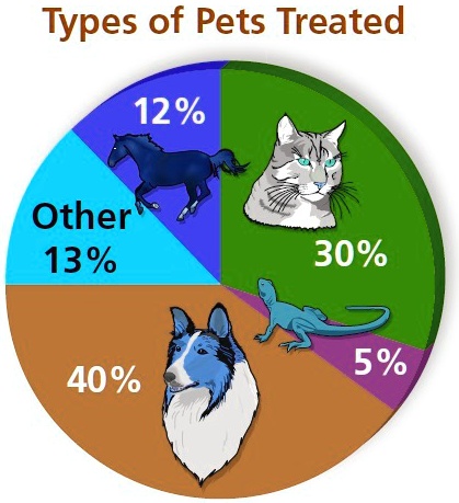 [GET ANSWER] Types of Pets Treated 12% Other 13% 40% 30% 5%