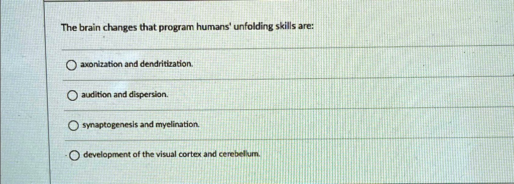 The brain changes that program humans' unfolding skills are: axoniation ...