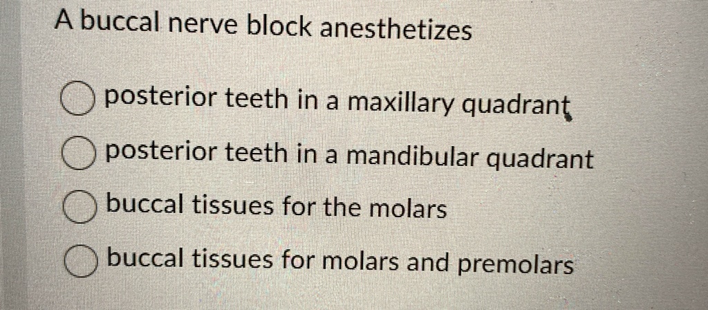 a buccal nerve block anesthetizes posterior teeth in a maxillary ...