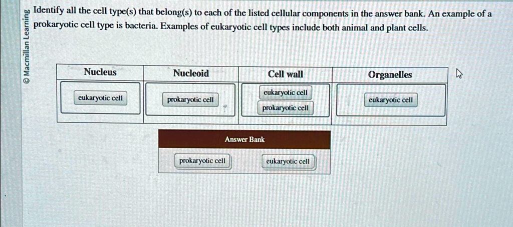 identify all the cell types that belongs to each of the listed cellular ...
