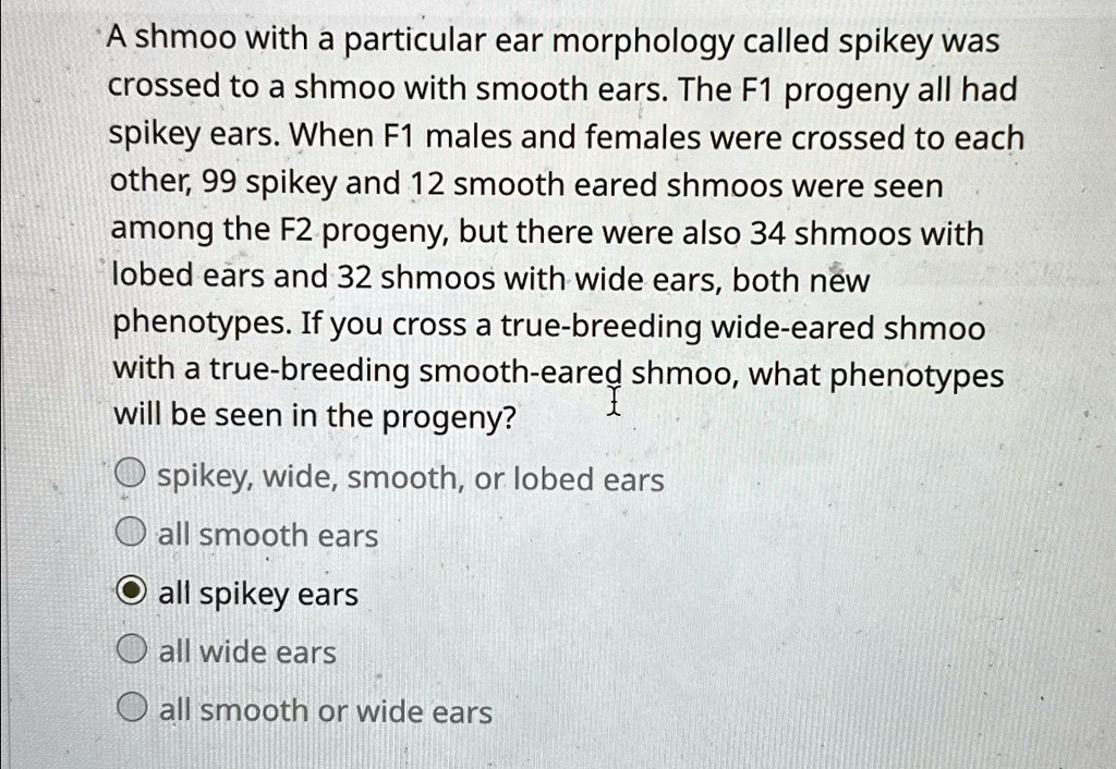 SOLVED: A shmoo with a particular ear morphology called spikey was ...