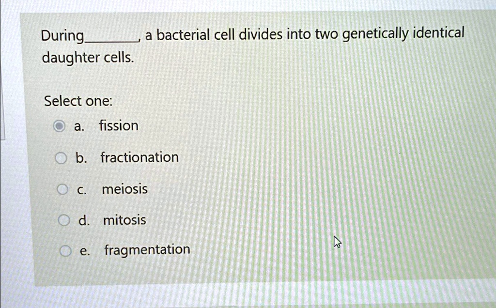 SOLVED: During a bacterial cell divides into two genetically identical ...