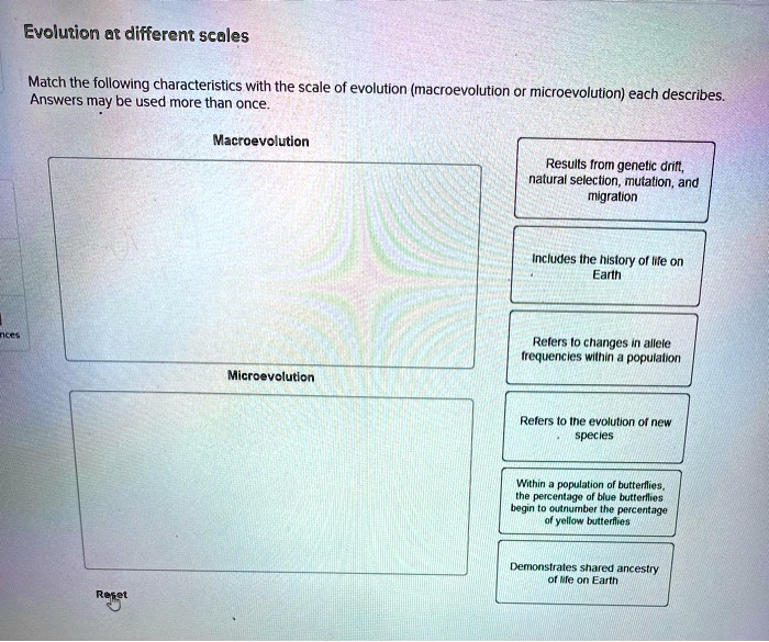 Evolution At Different Scales Match The Following Characteristics With The Scale Of Evolution
