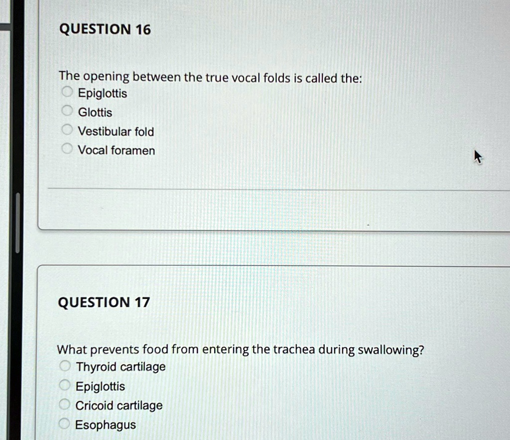 [GET ANSWER] QUESTION 16 The opening between the true vocal folds is ...