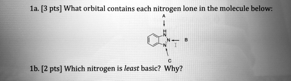 SOLVED: 1a. [3 pts] What orbital contains each nitrogen lone in the ...