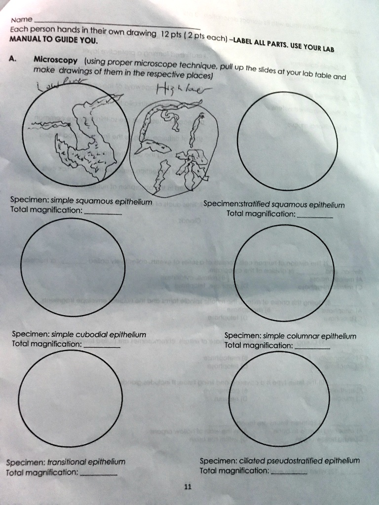 SOLVED: MANUAL TO GUIDE YOU A. Make drawings of them in the respective ...
