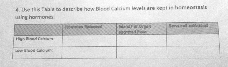 SOLVED: 4, Use this Table to describe how Blood Calcium levels are kept ...