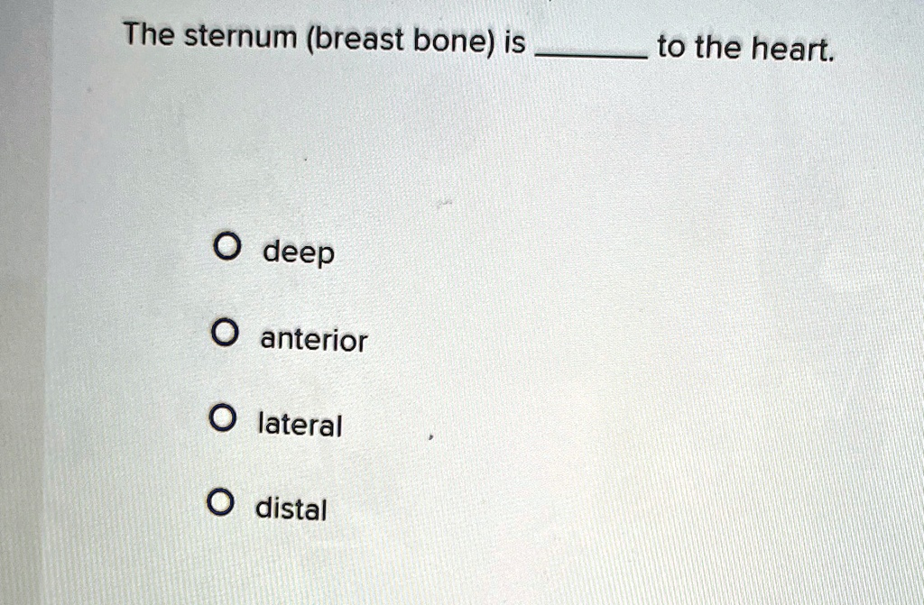 the sternum breast bone is to the heart o deep o anterior o lateral o ...
