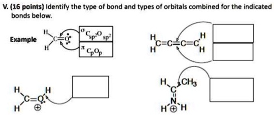 SOLVED:(16 points) Identify the type of bond and types of orbitals ...