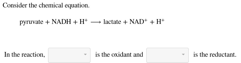 Consider the chemical equation. pyruvate + NADH + H^+...