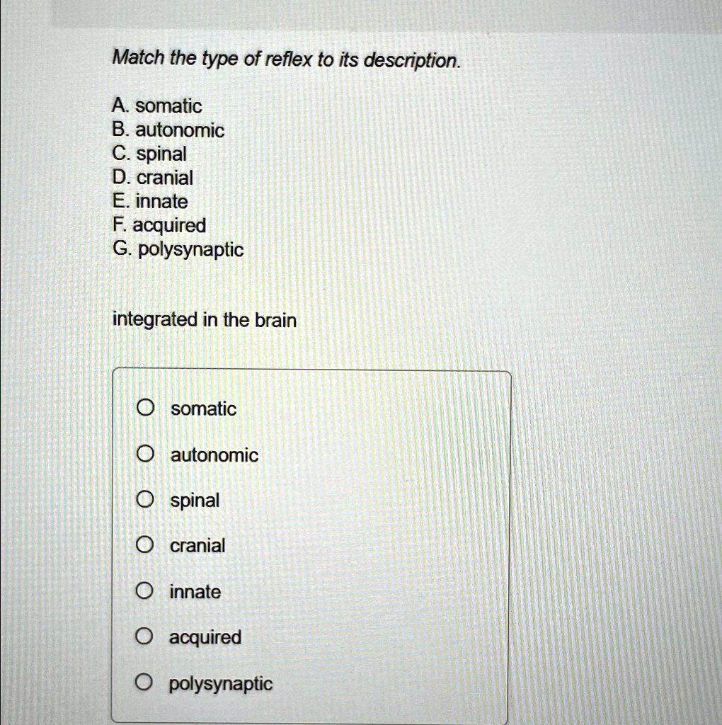 SOLVED: Match the type of reflex to its description. A. somatic B. autonomic C. spinal D ...