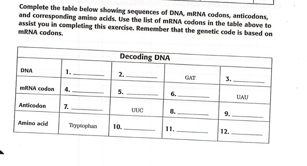 complete the table below showing and corresponding amino sequences of dna mrna codons anticodons ...
