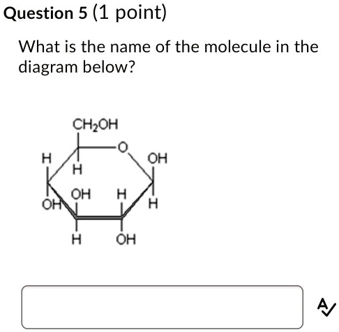 SOLVED:Question 5 (1 point) What is the name of the molecule in the ...