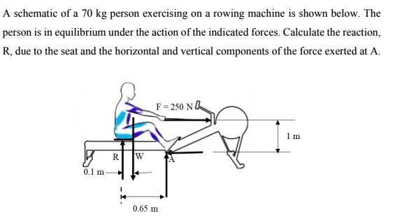 SOLVED:schematic of a 70 kg person exercising on rowing machine 1S ...
