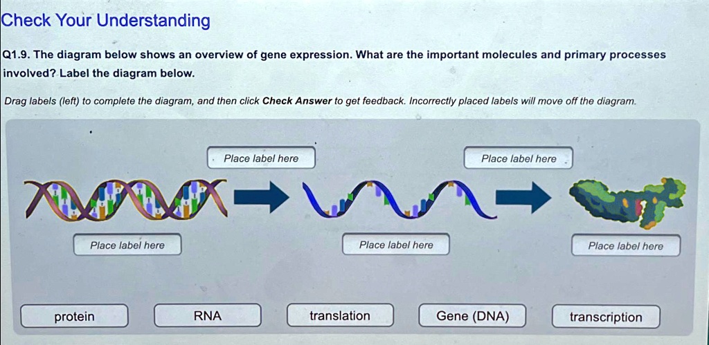 Check Your Understanding Q1.9. The diagram below shows an overview of ...