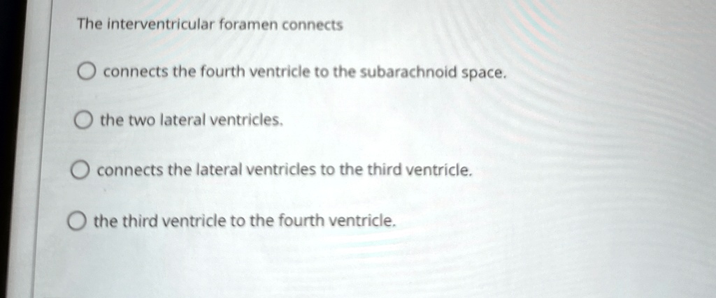 The interventricular foramen connects connects the fourth ventricle to ...
