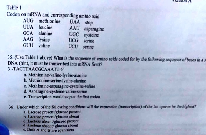 SOLVED: Text: Table Codon on mRNA and corresponding amino acid AUG ...