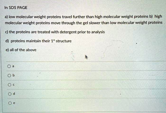 SOLVED: In SDS PAGE a) low molecular weight proteins travel further ...