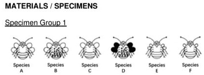 SOLVED: For specimen group 11, create an alternative dichotomy tree ...