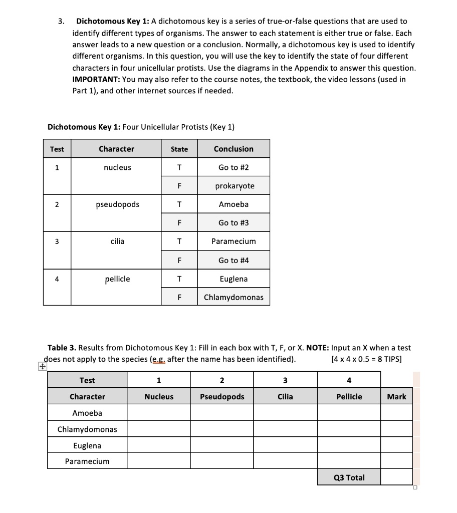3. Dichotomous Key 1: A dichotomous key is a series of...