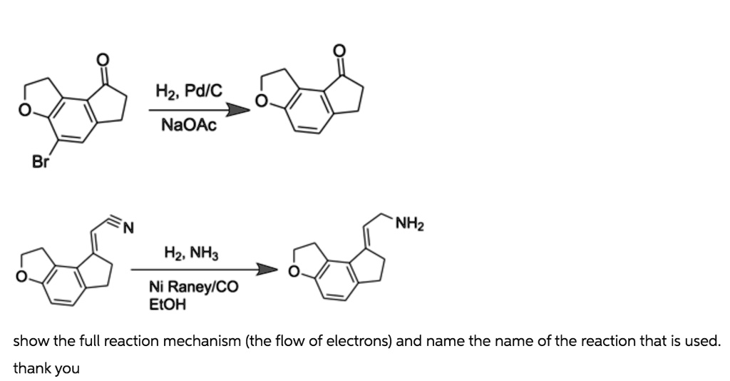 SOLVED: Hz, PdIc NaOAc Br NH3 Hz; NH3 Ni Raney/Co EtOH Show the full ...