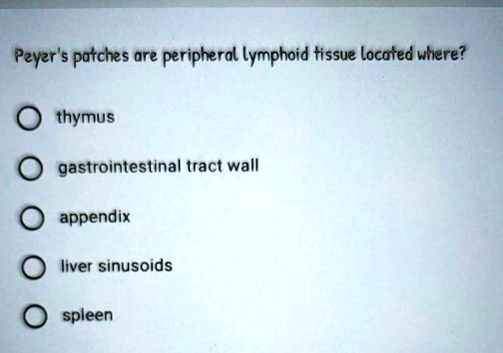SOLVED: Peyer's patches are peripheral Lymphoid tissue located where ...