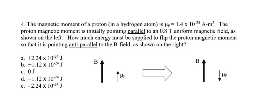 SOLVED: Plz explain process 4. The magnetic moment of a proton (in a ...
