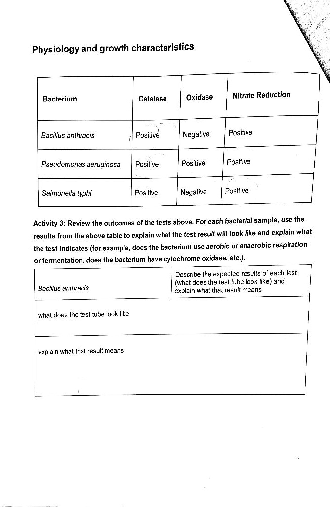 SOLVED: Physiology and growth characteristics Bacterium Catalase ...