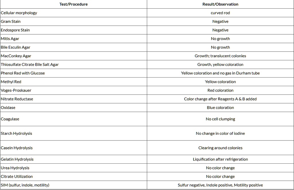 Test/Procedure Result/Observation Cellular morphology Curved rod Gram ...