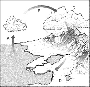 identify a d of the water cycle in figure 15 2 use the terms ...