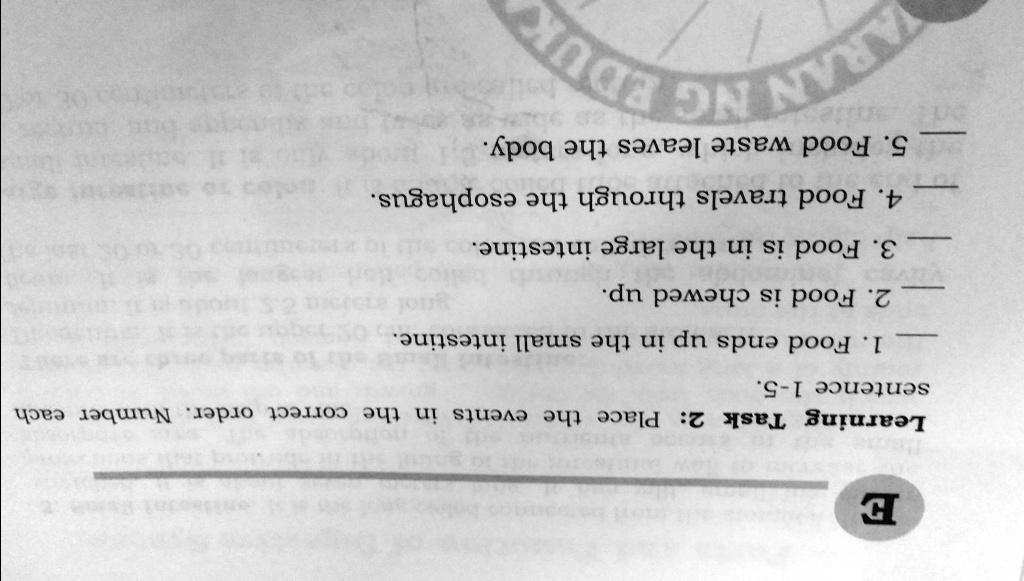 E Learning Task 2: Place the events in the correct order. Number each sentence 1-5. 1. Food ends ...