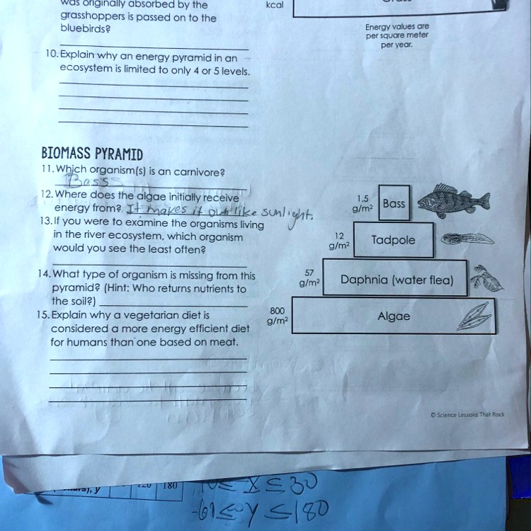 SOLVED: 'Help me on problem 13 and 14 WOS Originaily absorbed by Ihe ... SOLVED: 'Help me on problem 13 and 14 WOS Originaily absorbed by Ihe ...