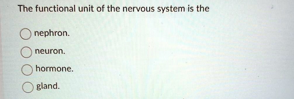 SOLVED: The functional unit of the nervous system is the nephron ...