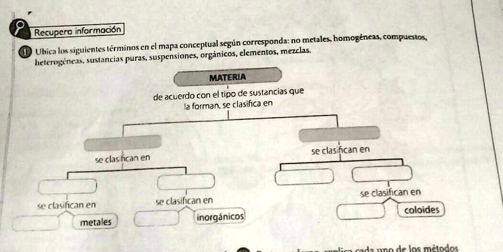 SOLVED: ubica los siguientes términos en el mapa conceptual según ...