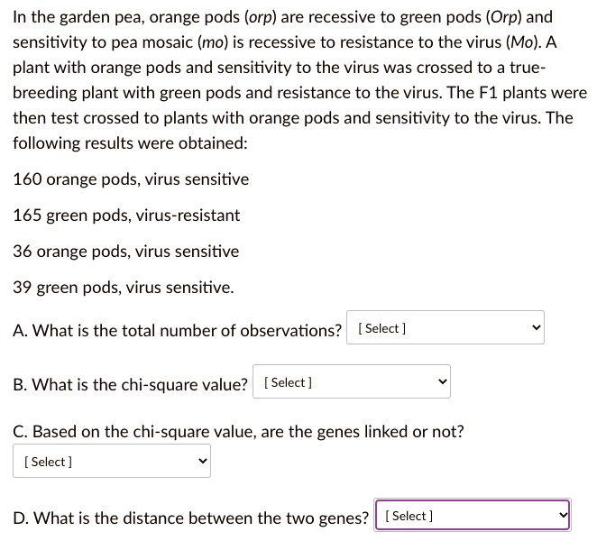 SOLVED: In the garden pea, orange pods (orp) are recessive to green ...