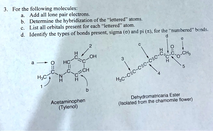 SOLVED: For the following molecules: Add all lone pair electrons ...