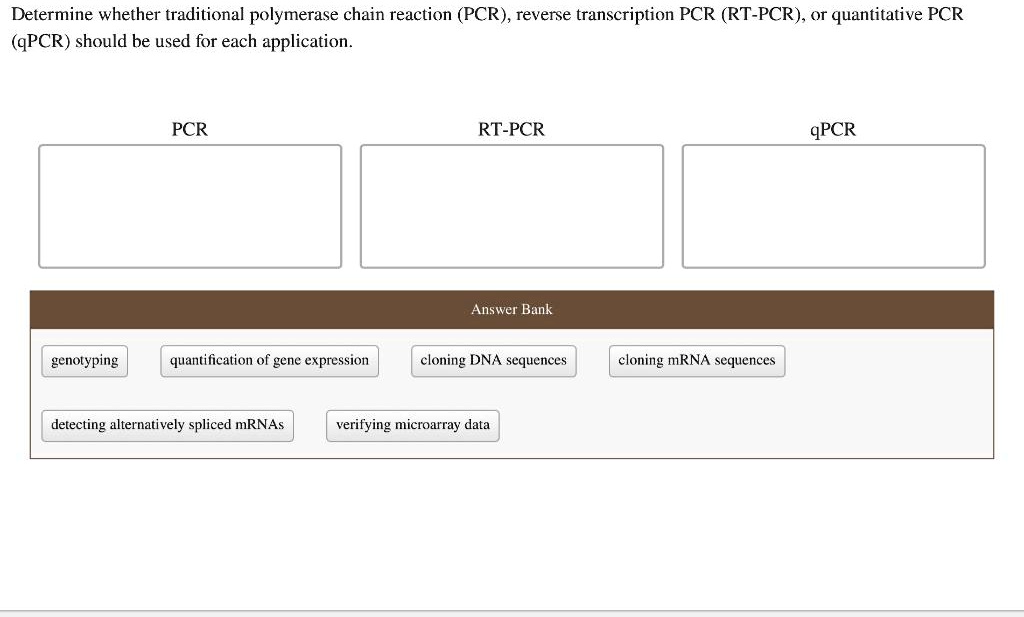 SOLVED: Determine whether traditional polymerase chain reaction (PCR), reverse transcription PCR ...