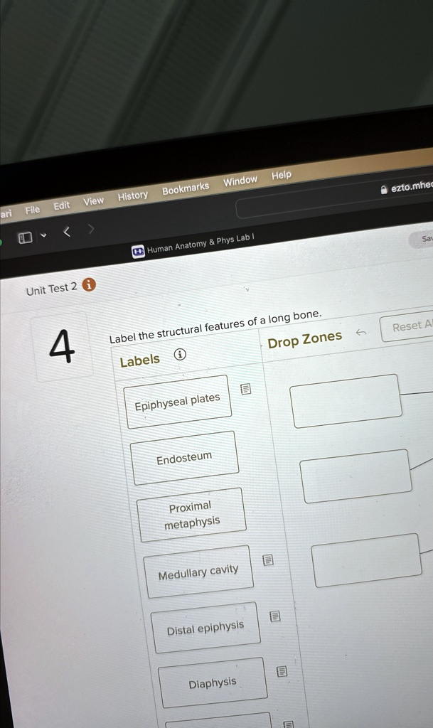 Unit Test 2 4 Label the structural features of a long bone. Labels ...