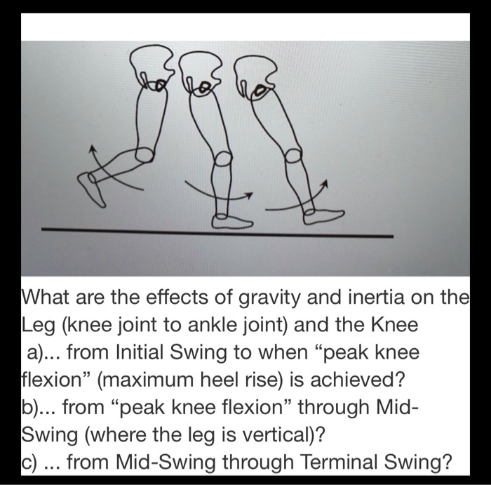SOLVED: What are the effects of gravity and inertia on the Leg (knee ...