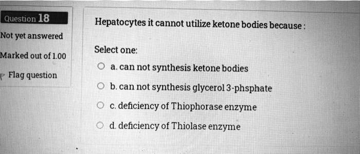 SOLVED: Hepatocytes cannot utilize ketone bodies because they cannot ...
