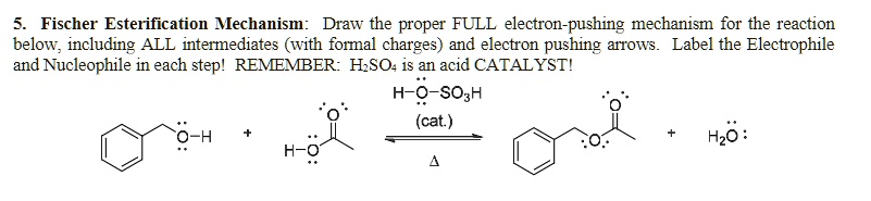 SOLVED: Fischer Esterification Mechanism: Draw the proper FULL electron ...