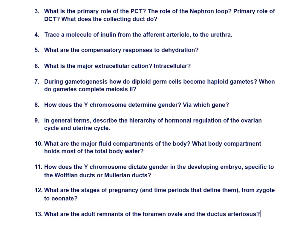 What is the primary role of the PCT? The role of the … - SolvedLib