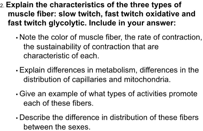 explain the characteristics of the three types of muscle fiber slow ...