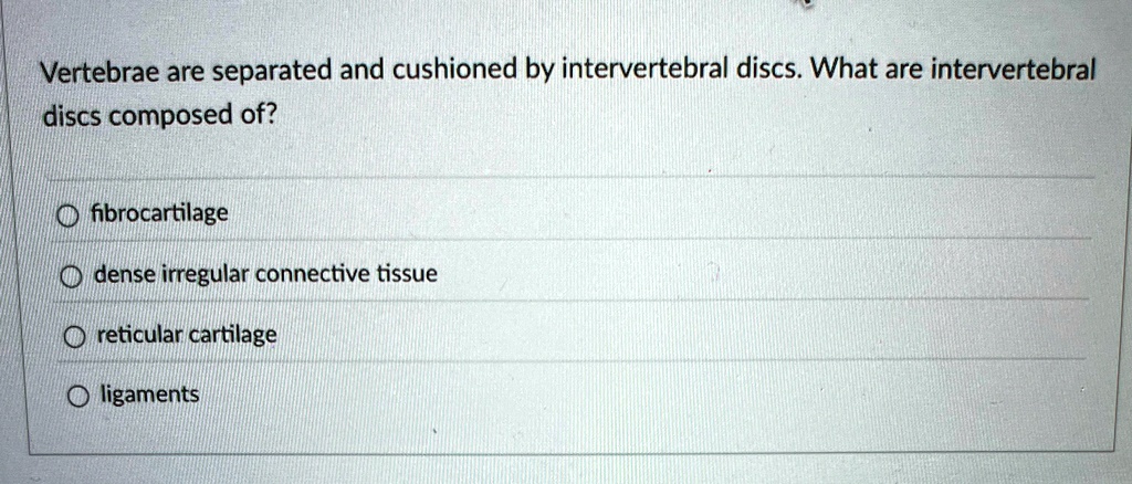 vertebrae are separated and cushioned by intervertebral discs what are ...