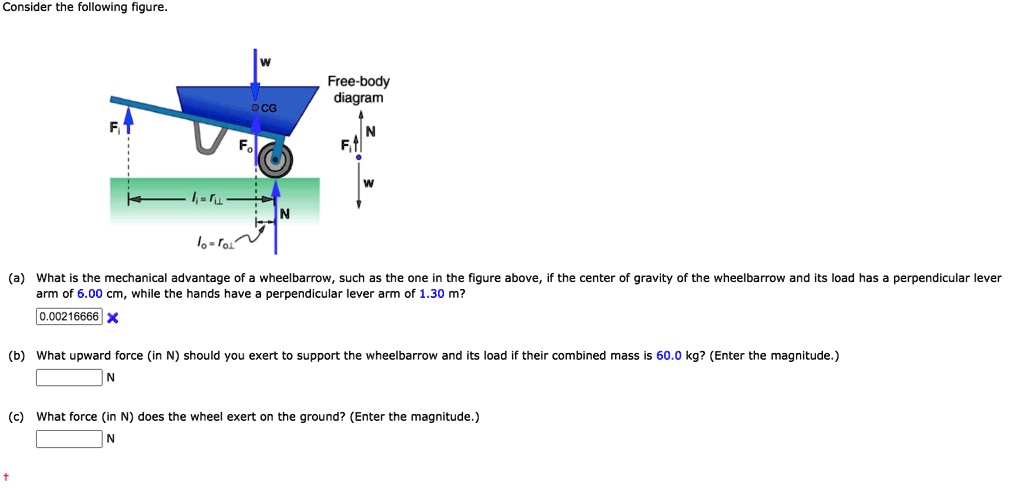 consider the following figure free body diagram what is the mechanical ...