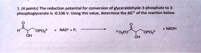 SOLVED: 1. (4 points) The reduction potential for conversion of ...