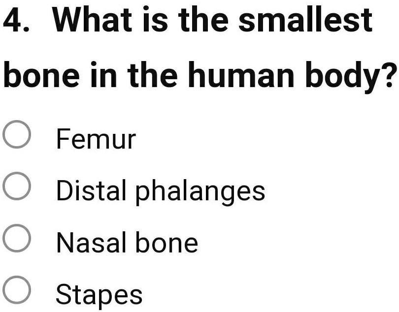 VIDEO solution: 4. What is the smallest bone in the human body? Femur ...