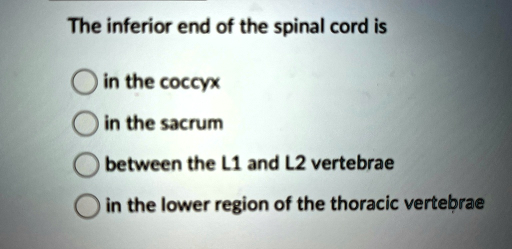 the inferior end of the spinal cord is in the coccyx in the sacrum ...